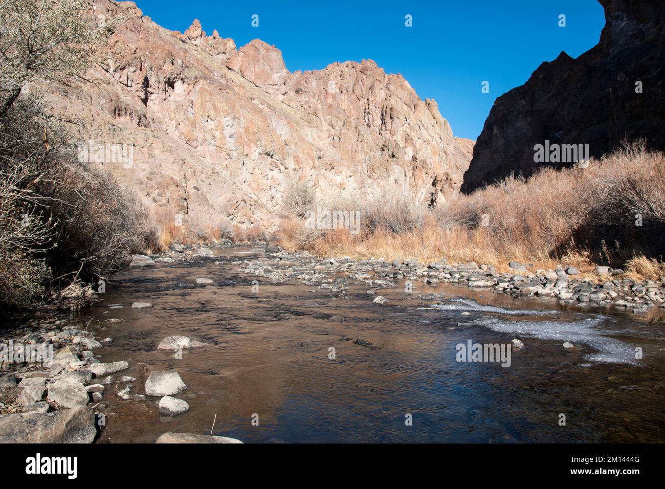 Wilson Canyon is a haven for outdoor activities in Lyon County, Nevada ...