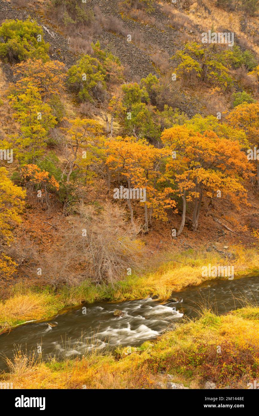 Shasta River Canyon, State of Jefferson Scenic Byway, California Stock ...