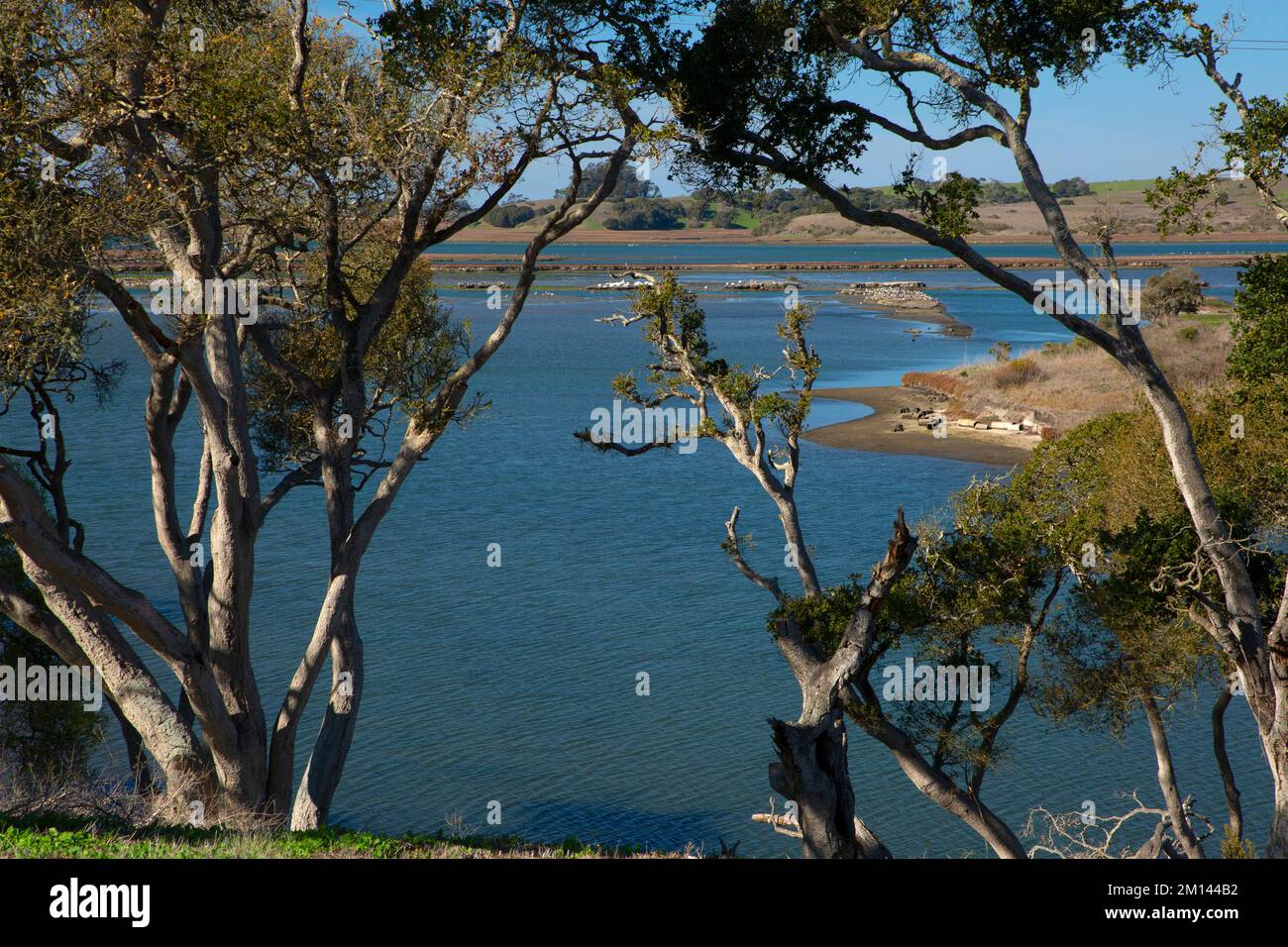 Slough view, Elkhorn Slough National Estuarine Research Reserve ...