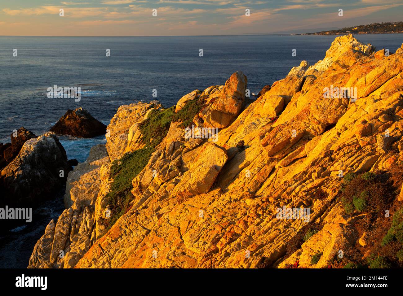 Coast view from Allan Memorial Grove Trail, Point Lobos State Reserve ...