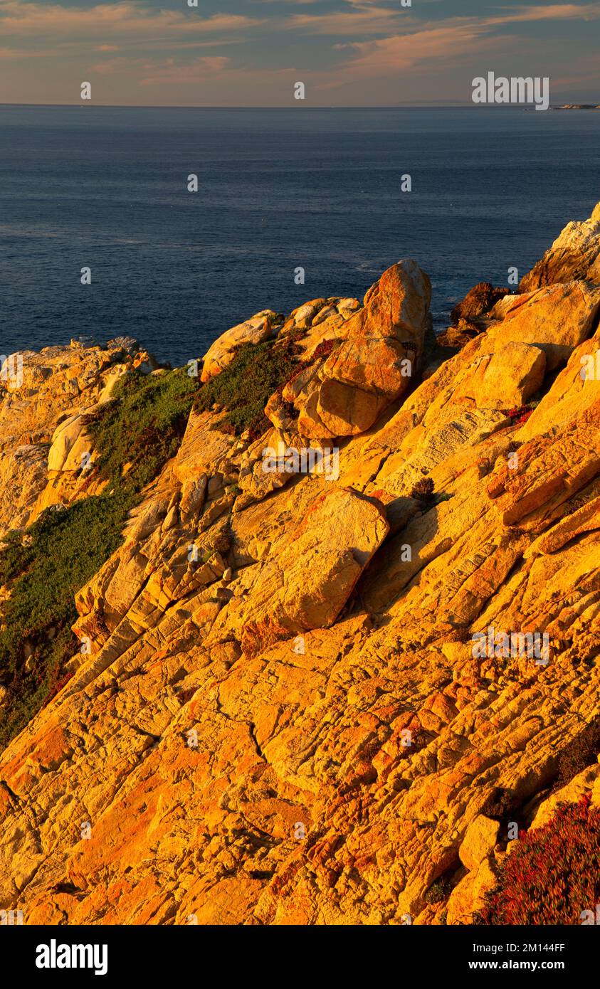 Coast view from Allan Memorial Grove Trail, Point Lobos State Reserve ...