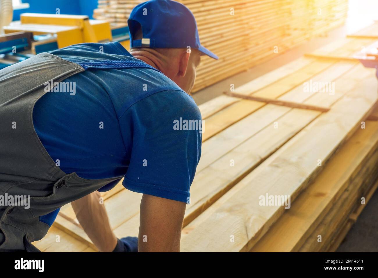 Work at sawmill on summer day. Timber harvesting for construction ...
