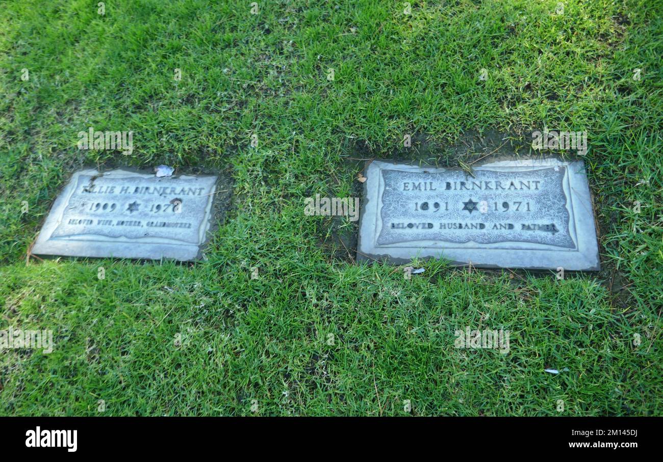 Los Angeles, California, USA 8th December 2022 Actor Buddy Harris, aka ...