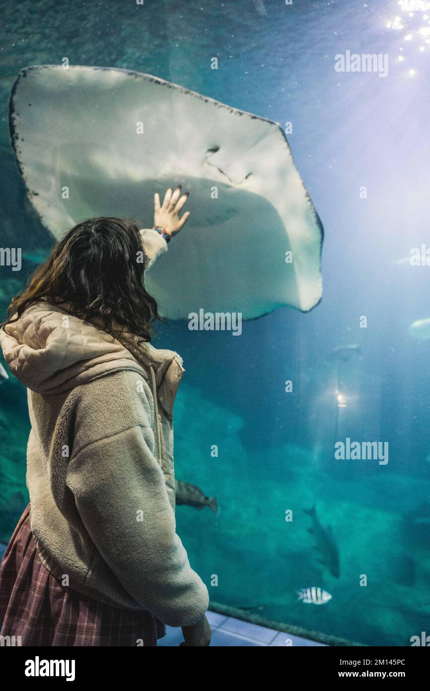 A female touching animals behind Aquarium in the blue water Stock Photo ...