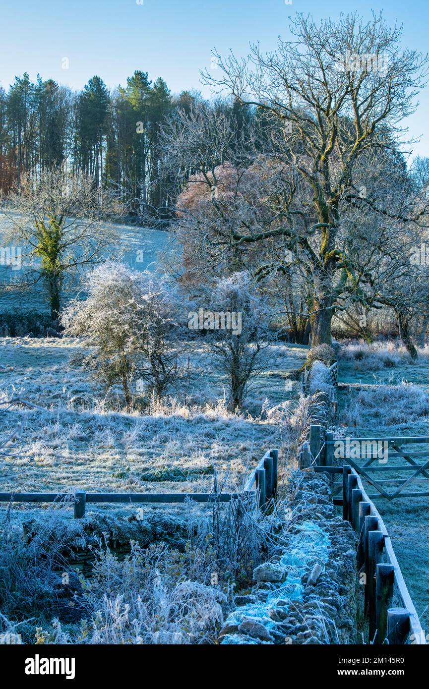Frosty fields in the cotswold countryside in the morning. Coln St ...