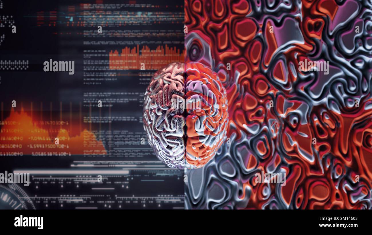 The right hemisphere of the human brain hi-res stock photography and ...