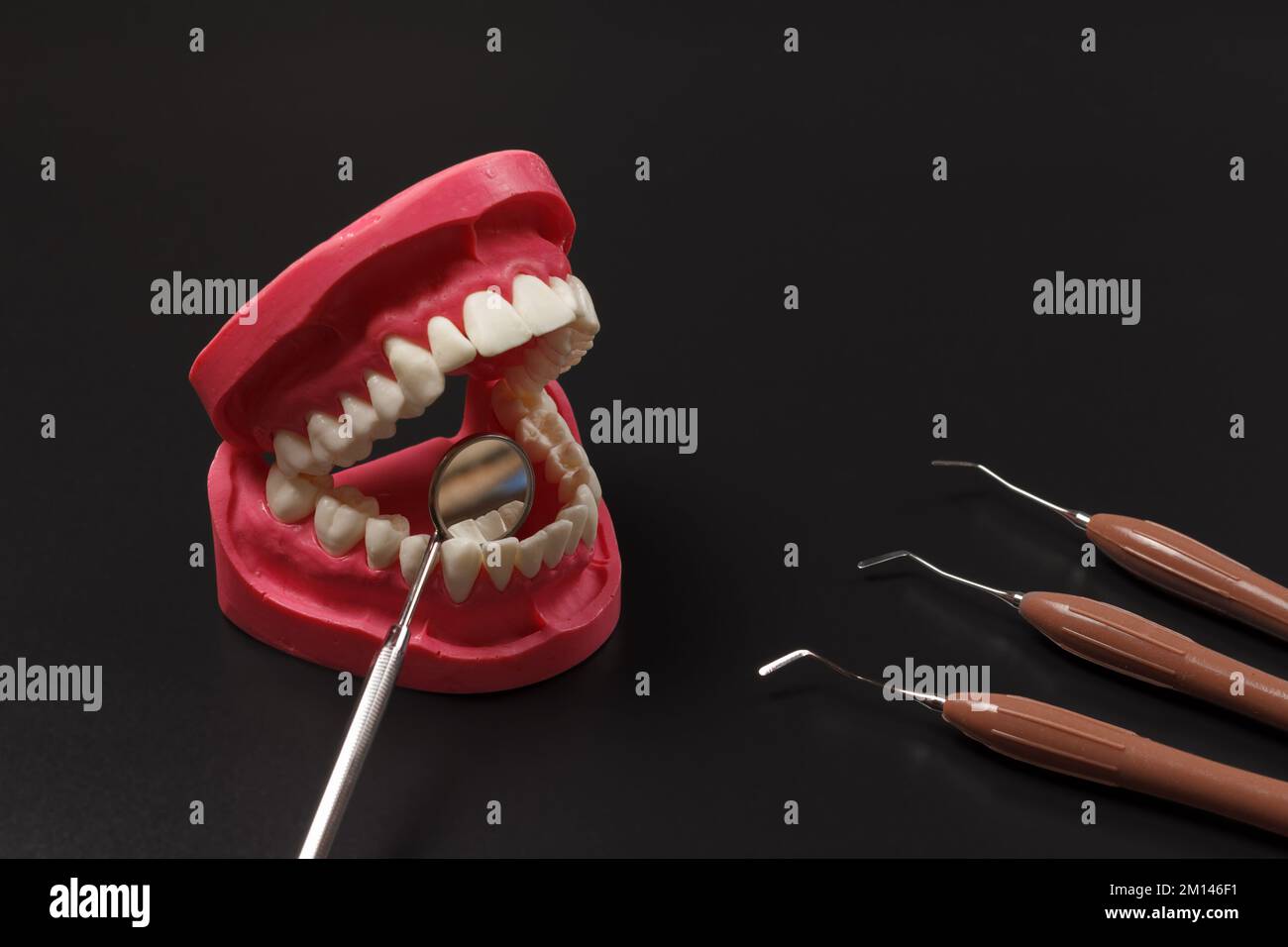 Layout of the human jaw with the mouth mirror and the dental ...