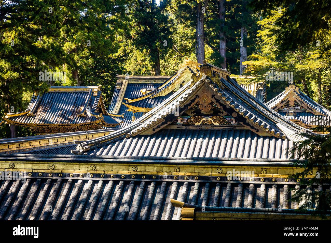 Roof top of shrines buildings in inner Toshogu Shrine in Nikko Japan at ...
