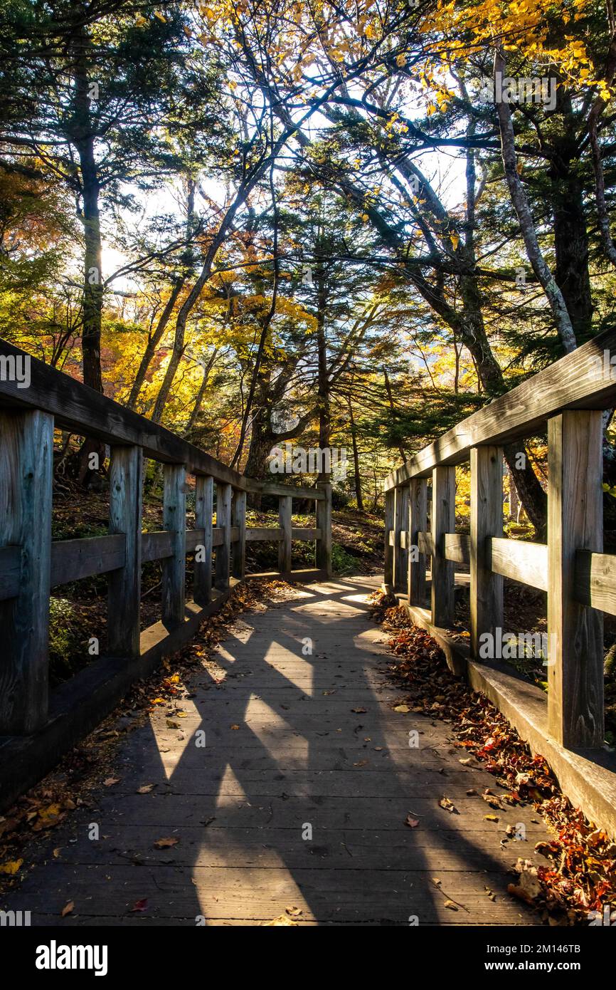Scenic view of Yunoko lake bridge at fall with colorful trees Nikko ...
