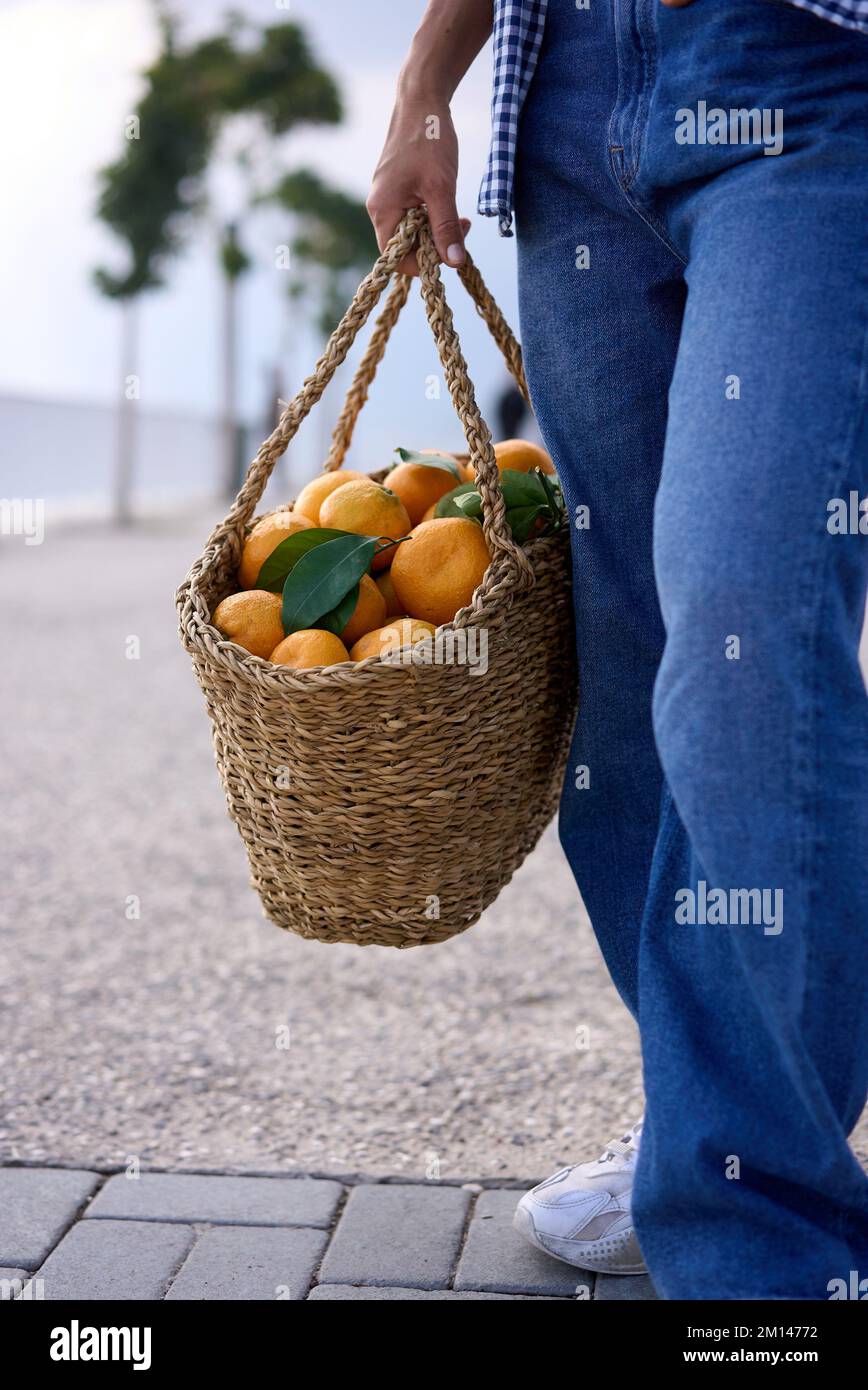 Woman holding basket full of fruits mandarin. Season of mandarin Stock ...