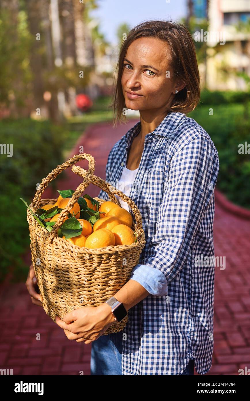 Woman holding basket full of fruits mandarin. Season of mandarin Stock ...