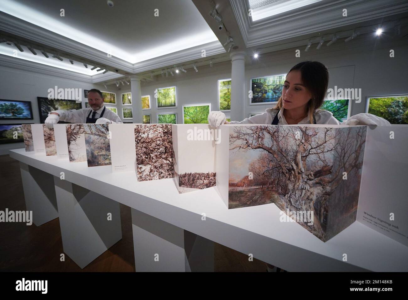 Sotheby's staff make final touches to a leporello book, featuring ...