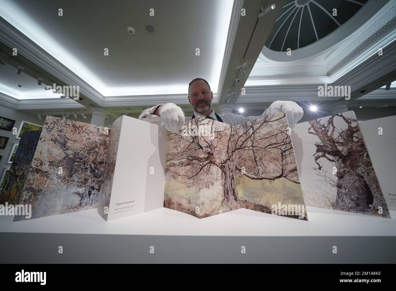 Sotheby's staff make final touches to a leporello book, featuring ...