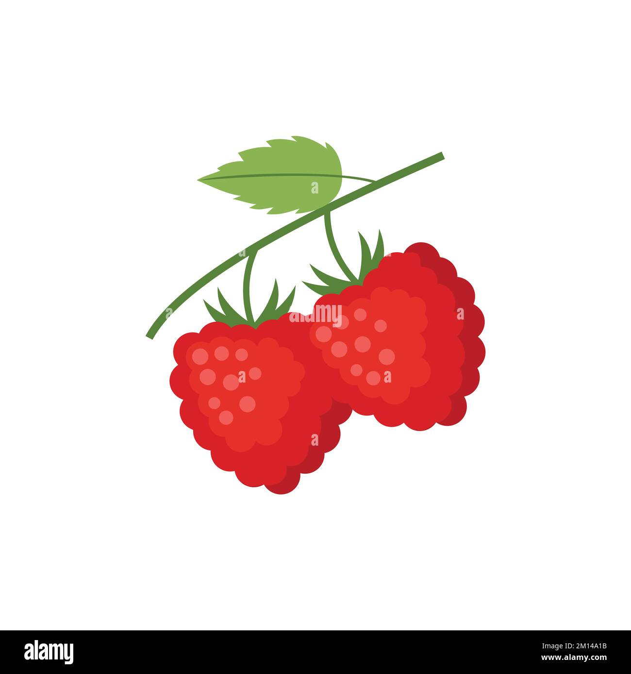 Raspberries Flat design clip art vector illustration isolated on a ...