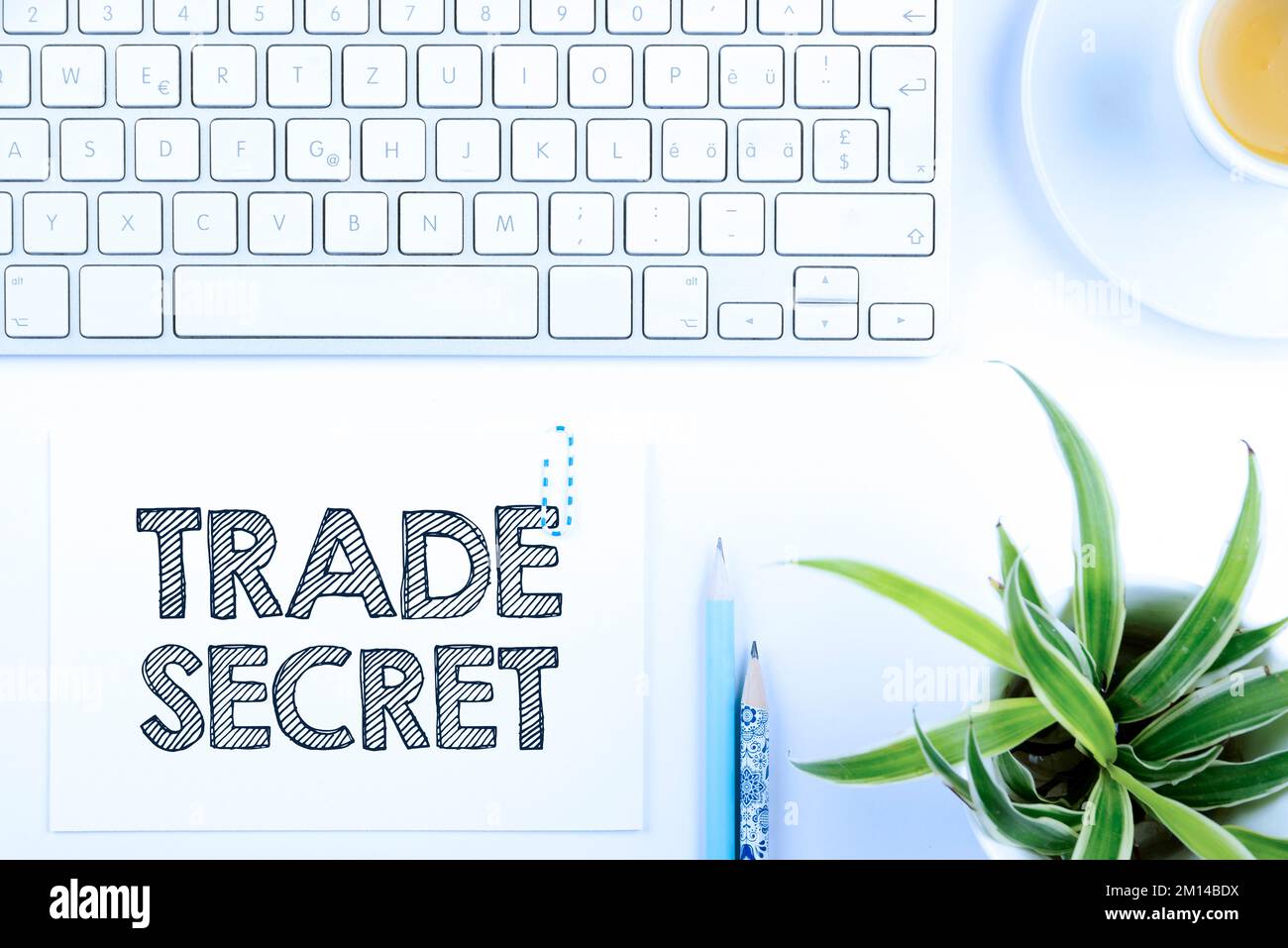 Inspiration showing sign Trade Secret. Word for Confidential ...