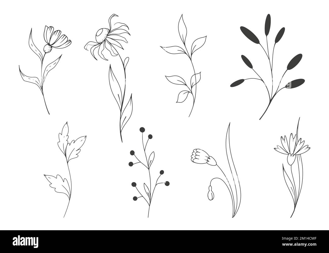 decorative flower set in vector and illustration Stock Vector Image ...