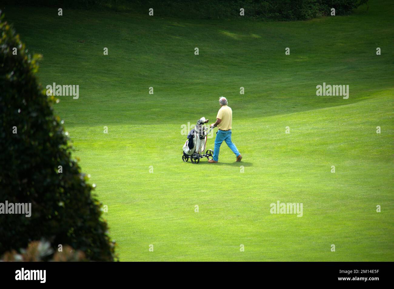 A person in a golf field on a sunny day Stock Photo - Alamy