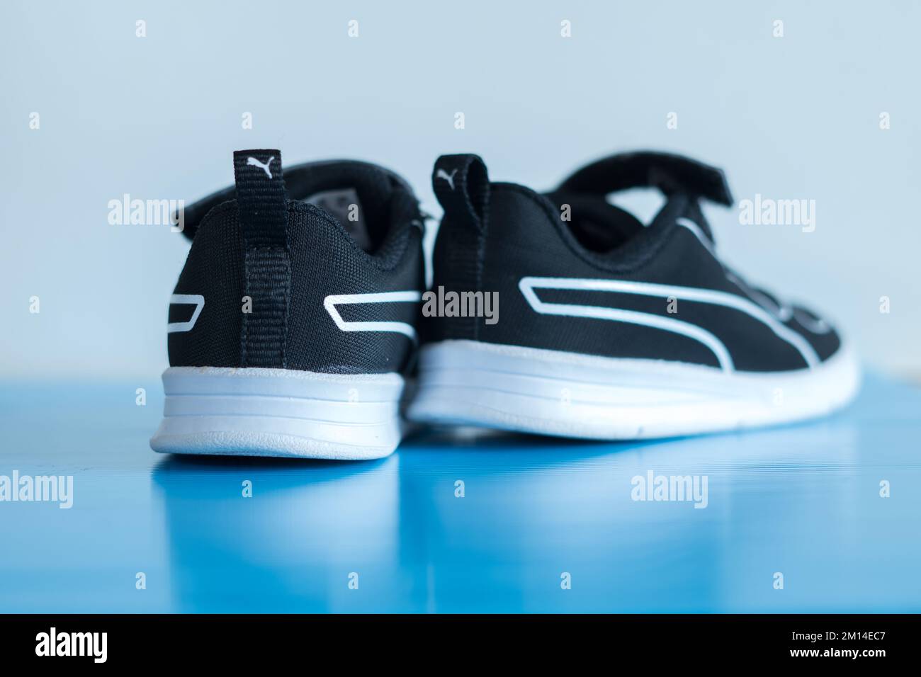 A back view of Puma baby footwear isolated on blue and white background ...