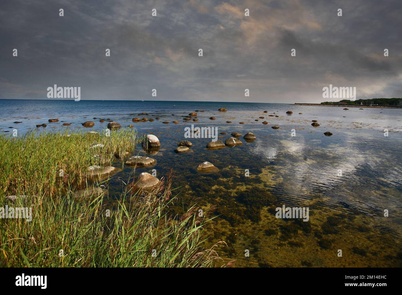 Nature in south Sweden in the province of Skåne Stock Photo - Alamy