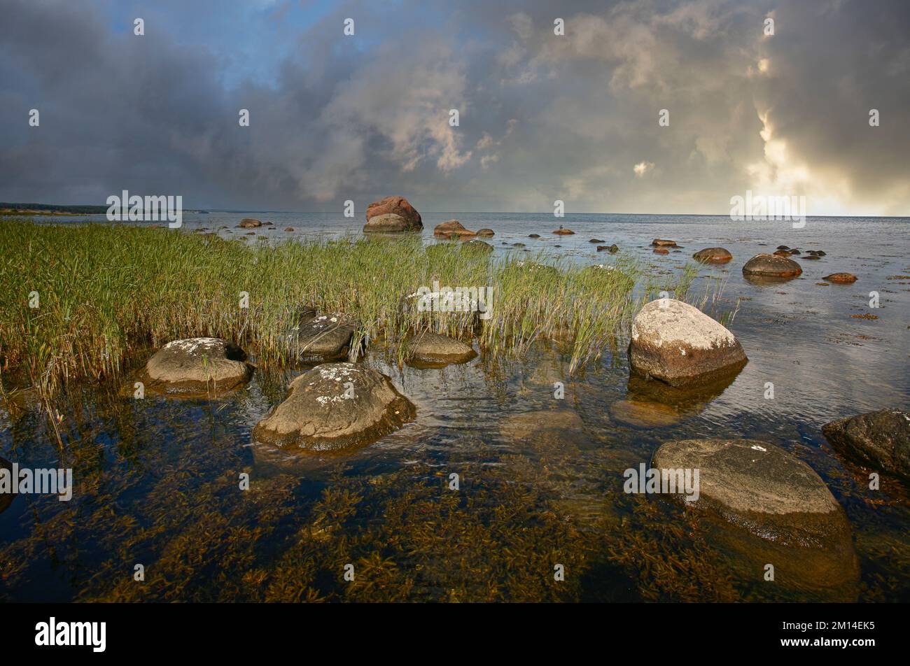 Nature in south Sweden with stones in the water at the coast Stock ...
