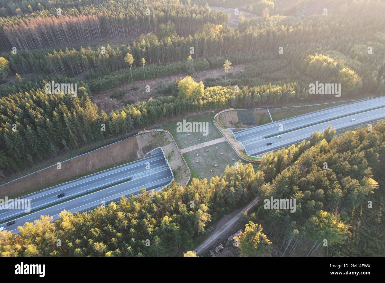 An aerial shot of an ecoduct highway with traffic surrounded by green ...