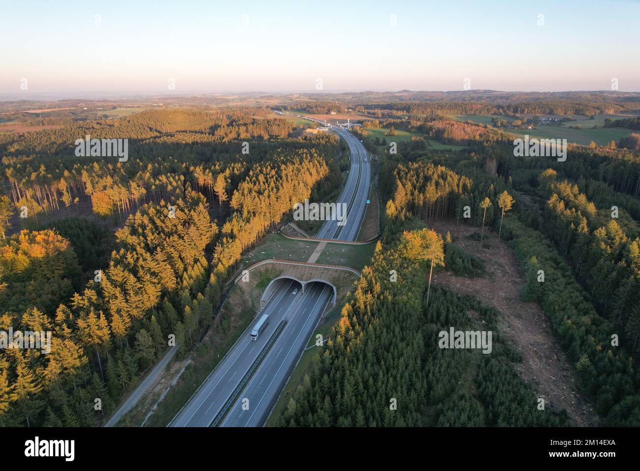 An aerial shot of an ecoduct highway with traffic in the middle of a ...