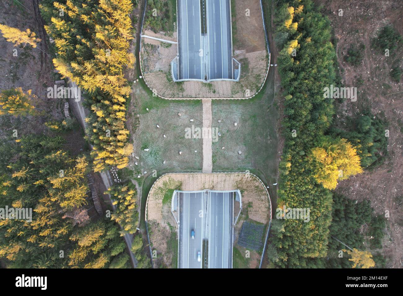 An aerial top view of an ecoduct highway with traffic surrounded by ...