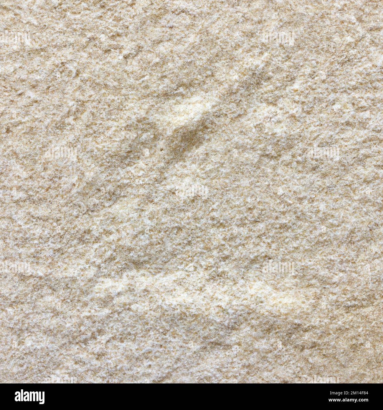 Sand crumpled background paper texture. High quality background and ...
