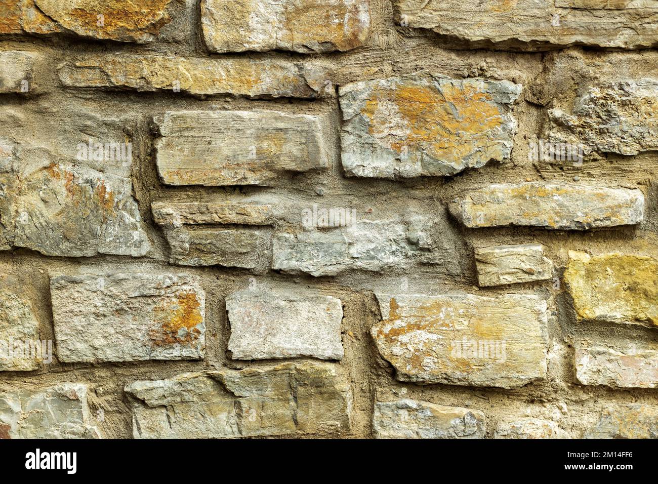 The background is lined with gray, sandy and beige stones Stock Photo ...