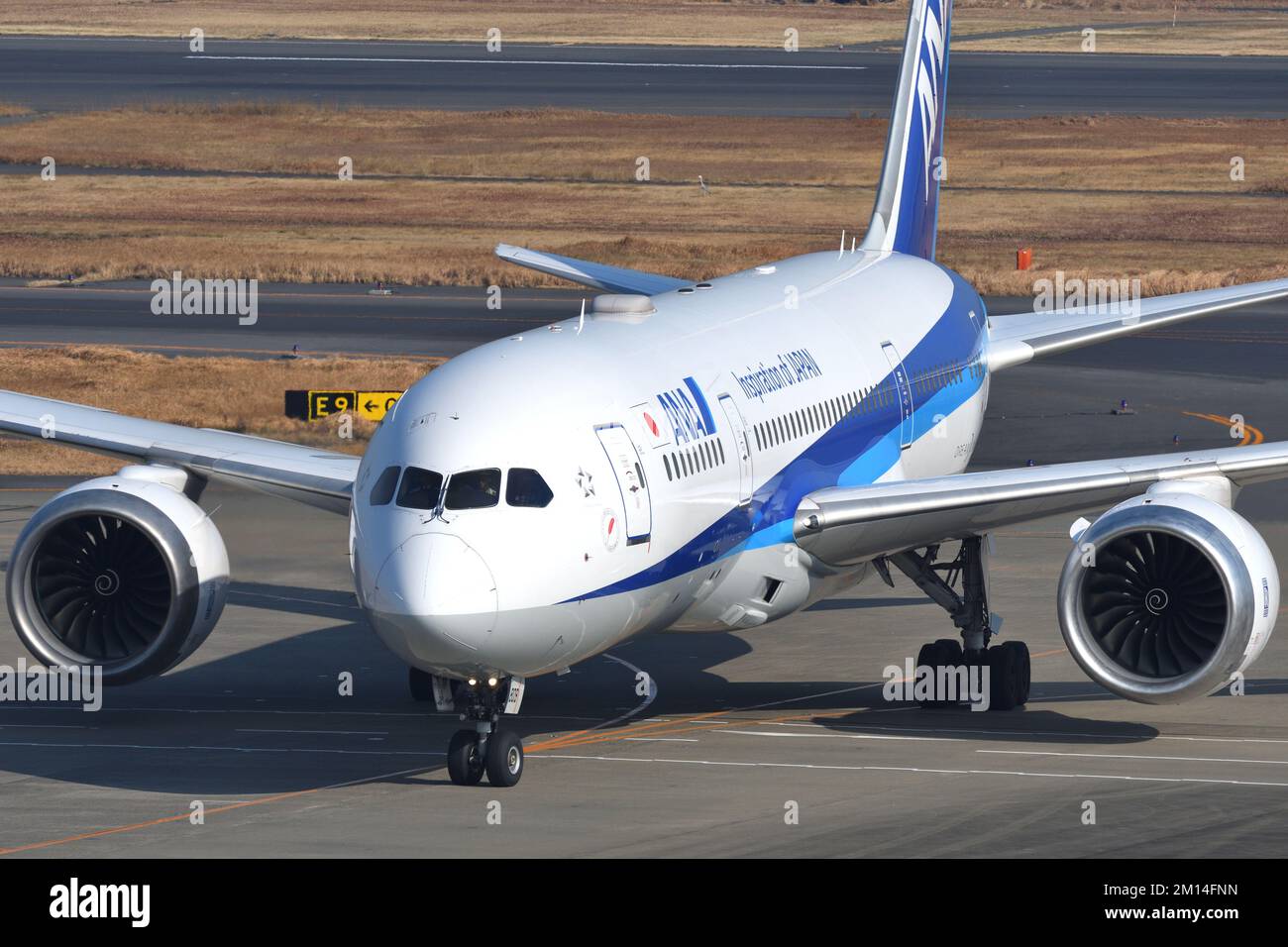 Tokyo, Japan - January 12, 2020: All Nippon Airways (ANA) Boeing B787-8 ...