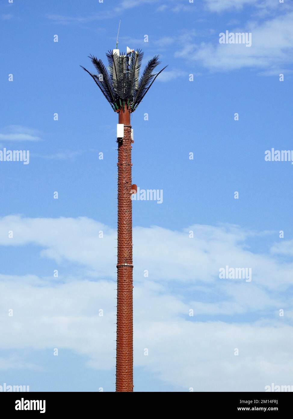 cell phone tower in Egypt or cellular phone antenna disguised on fake ...
