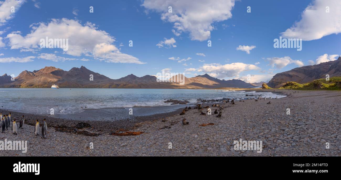 Tourists in zodiacs of an Antarctic expedition ship disembarking in ...