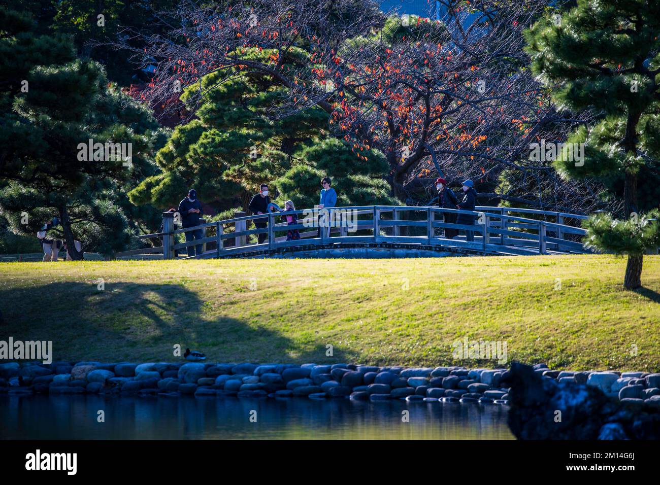 Hamarikyu Gardens in Tokyo, Japan Stock Photo - Alamy