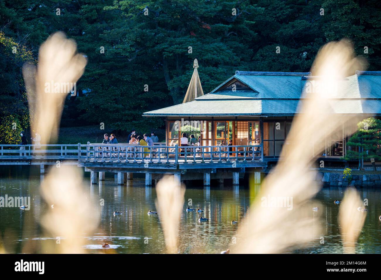 Hamarikyu Gardens in Tokyo, Japan Stock Photo - Alamy