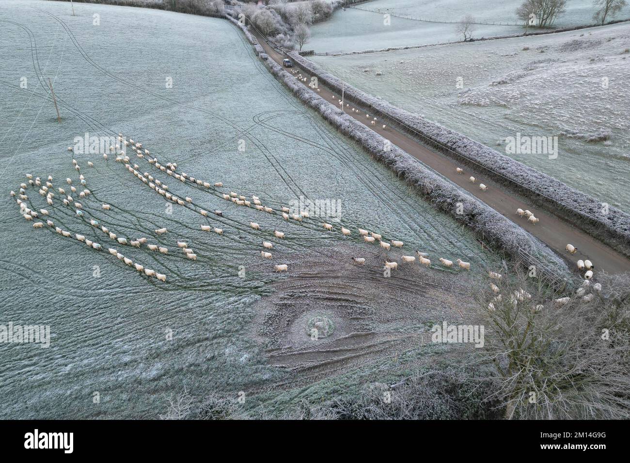 Uploders, Dorset, UK. 10th December 2022. UK Weather. View from the air ...