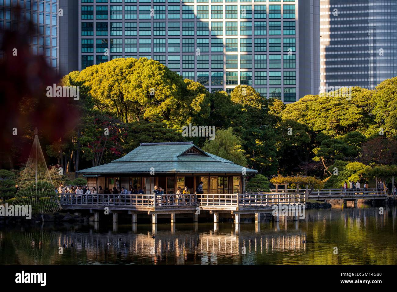 Hamarikyu Gardens in Tokyo, Japan Stock Photo - Alamy