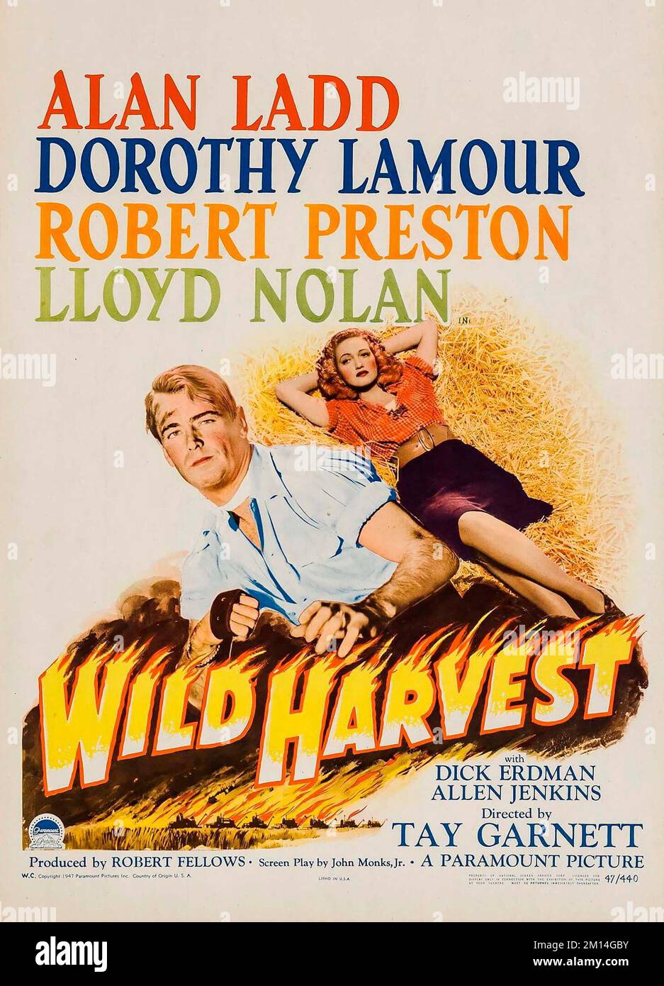 DOROTHY LAMOUR and ALAN LADD in WILD HARVEST (1947), directed by TAY ...
