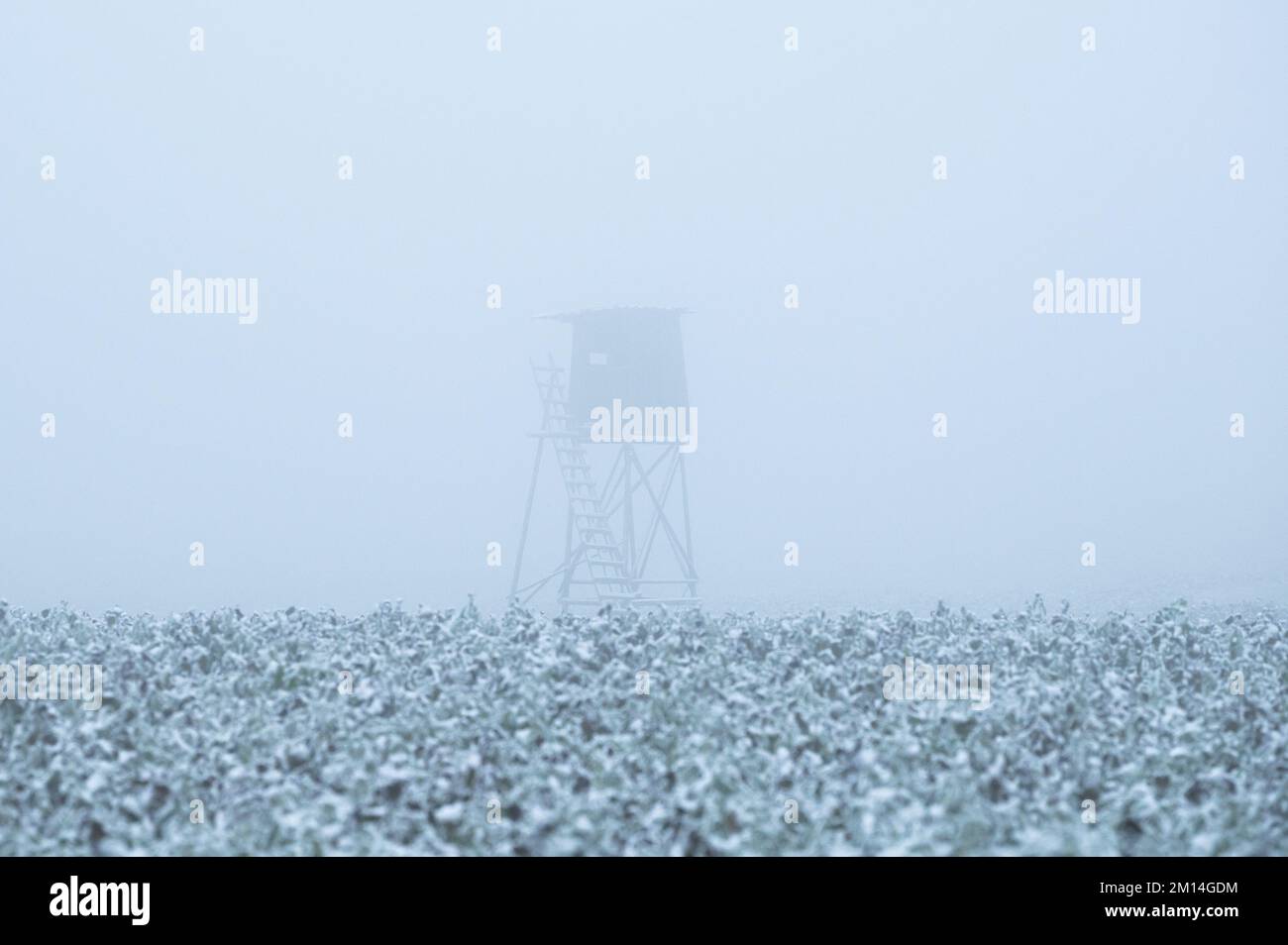 Rottweil, Germany. 10th Dec, 2022. A raised hide can be seen in the ...