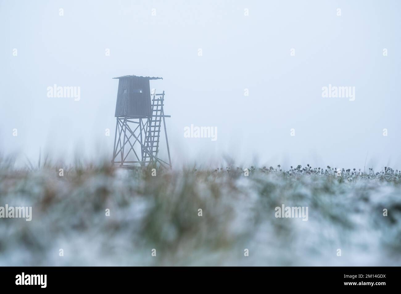 Rottweil, Germany. 10th Dec, 2022. A raised hide can be seen in the ...