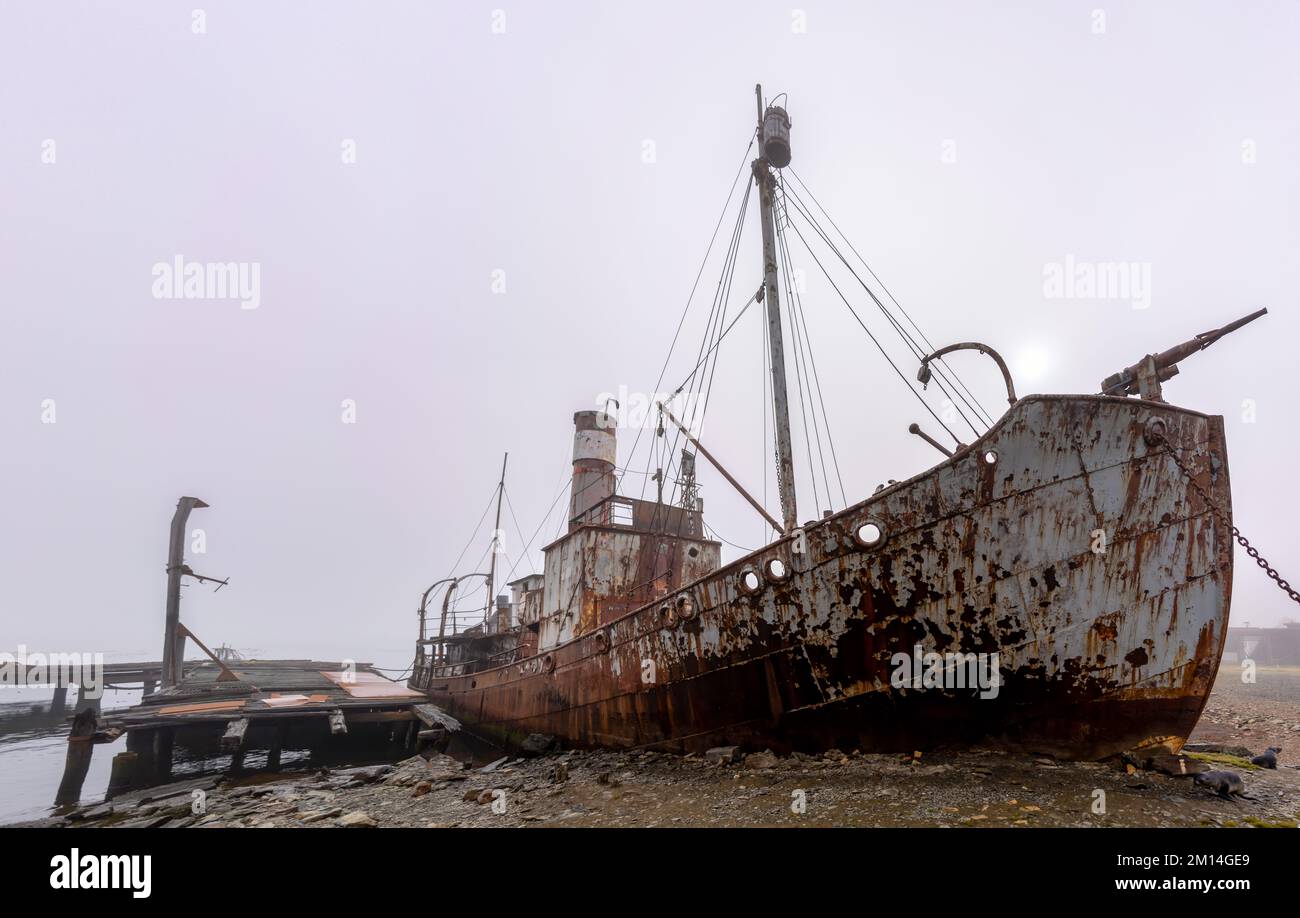 Old, rusty whaling ships and processing facilities at a now abandoned ...