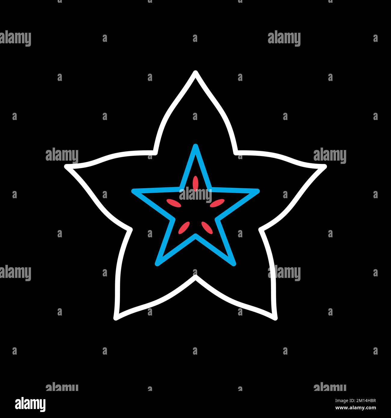 Carom, Carambola, Starfruit vector on black background icon. Graph ...
