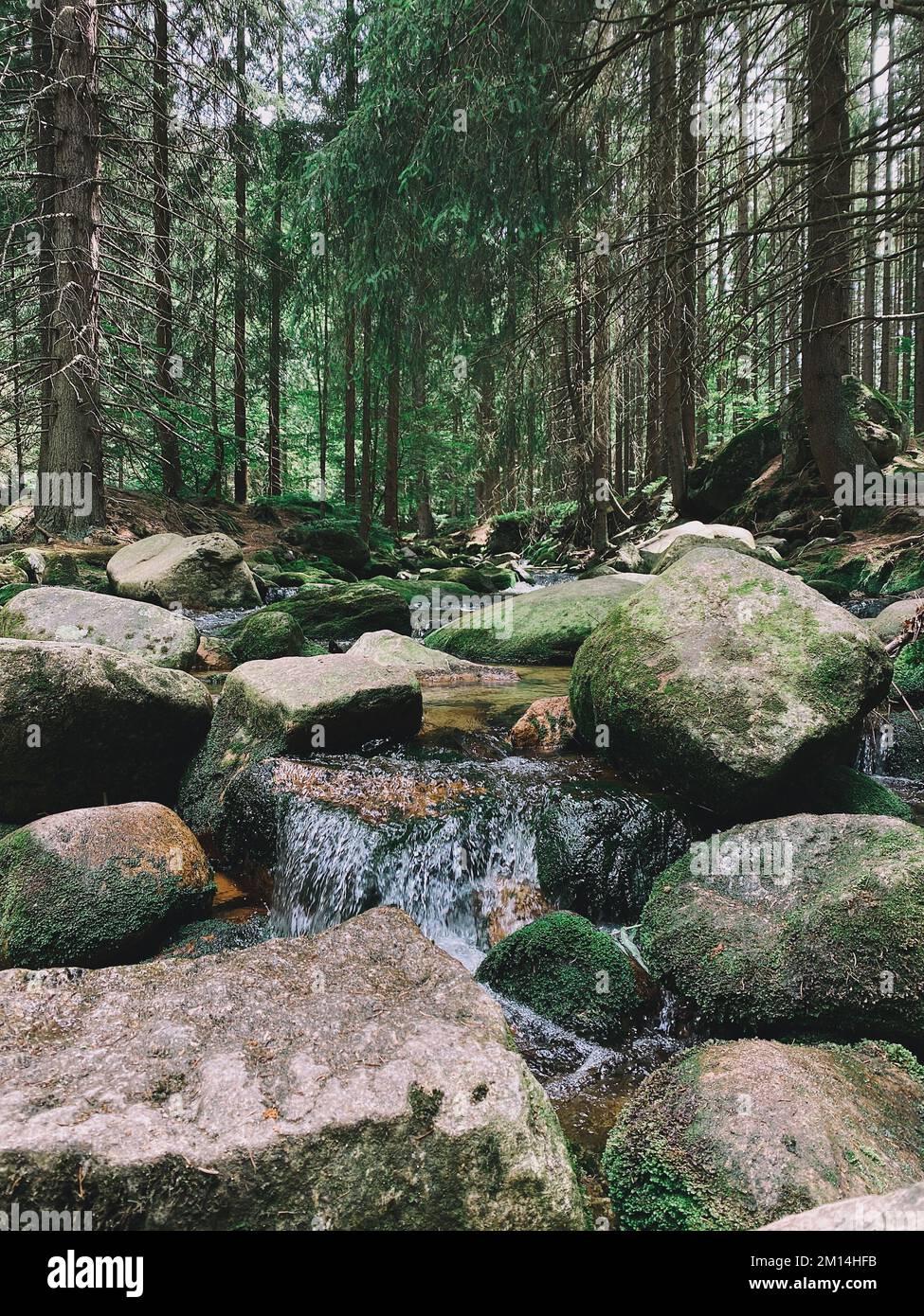 Vertical shot small cascade hi-res stock photography and images - Alamy