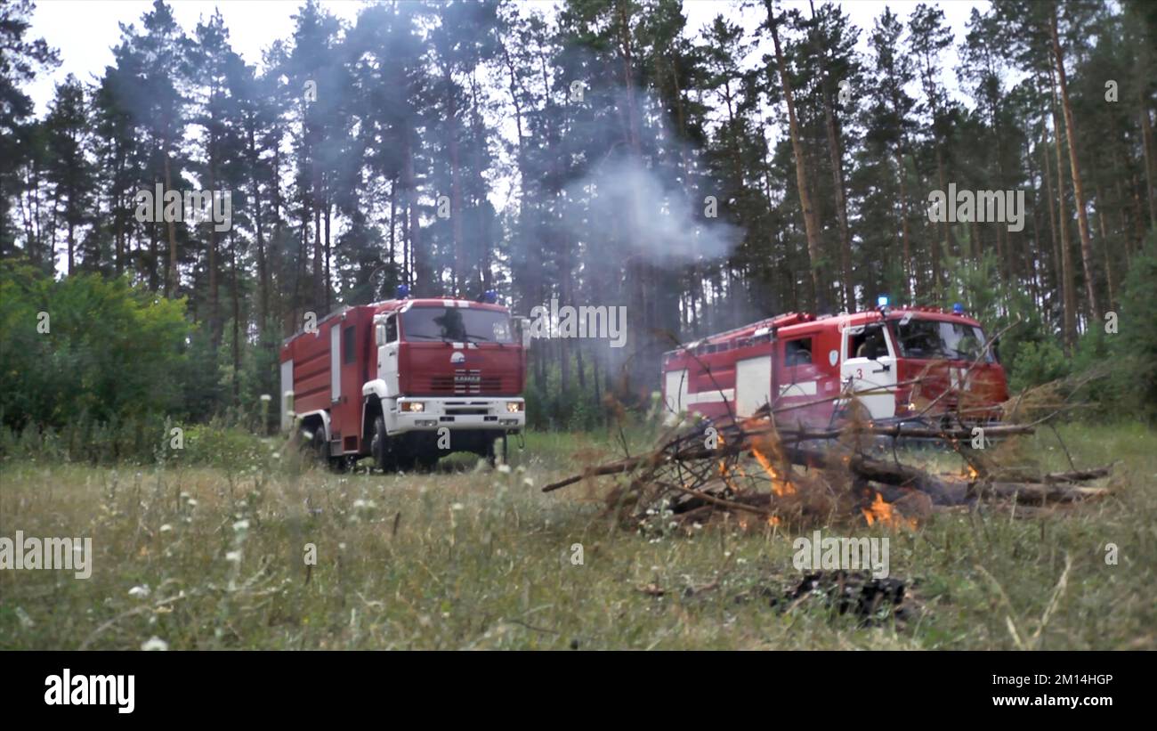 Two red fire engines with flashing lights coming close to forest to ...