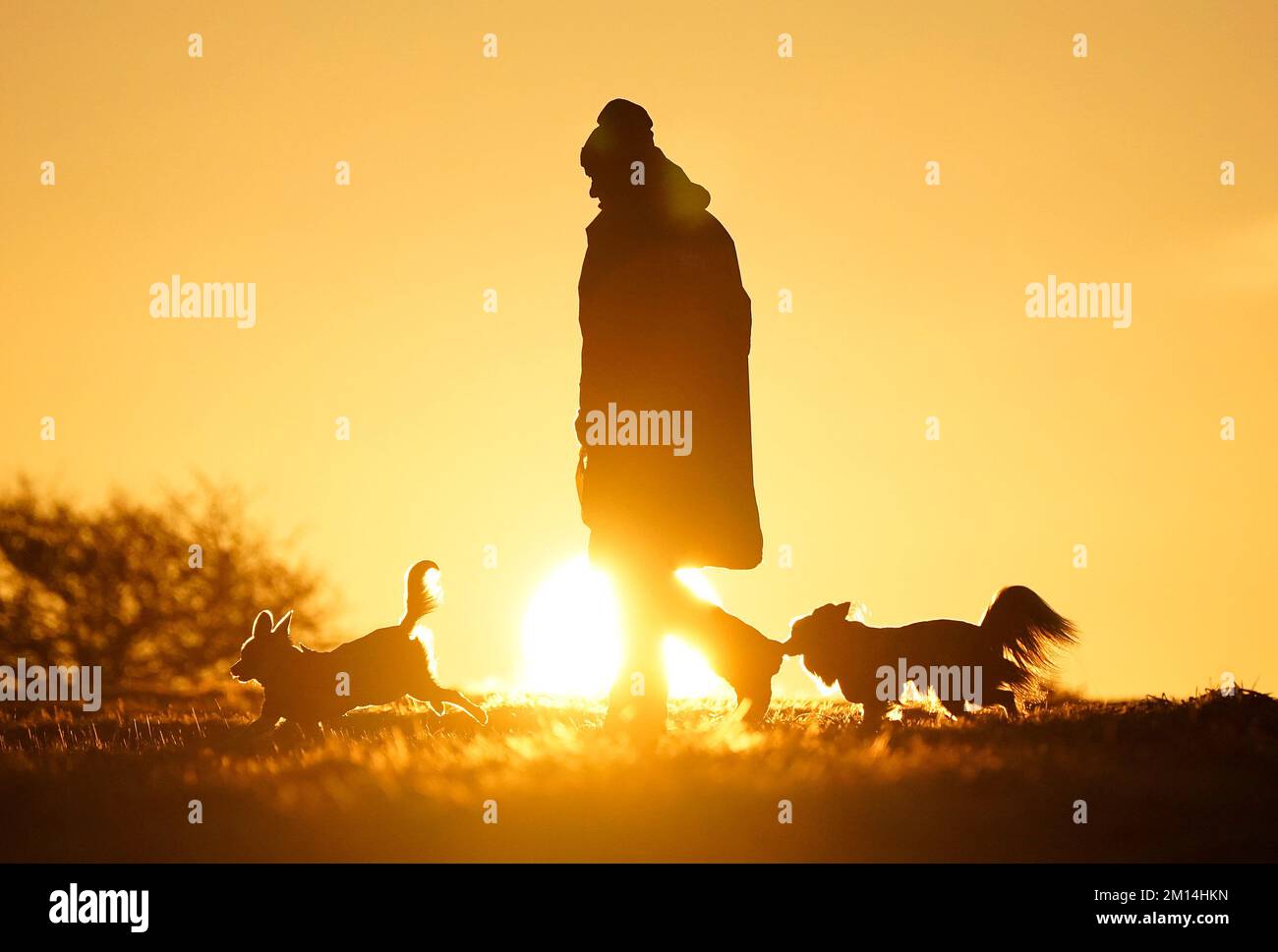Butser ampics hi-res stock photography and images - Alamy