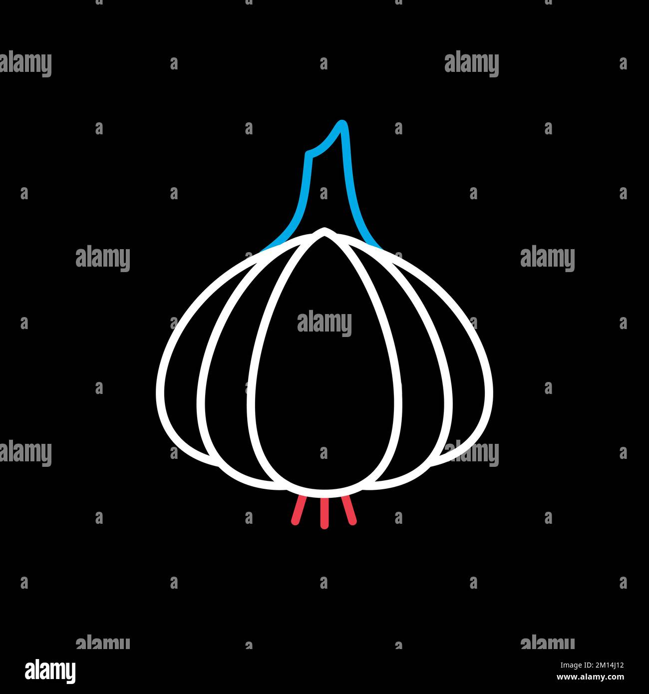 Garlic bulb, allium sativum isolated design vector on black background ...