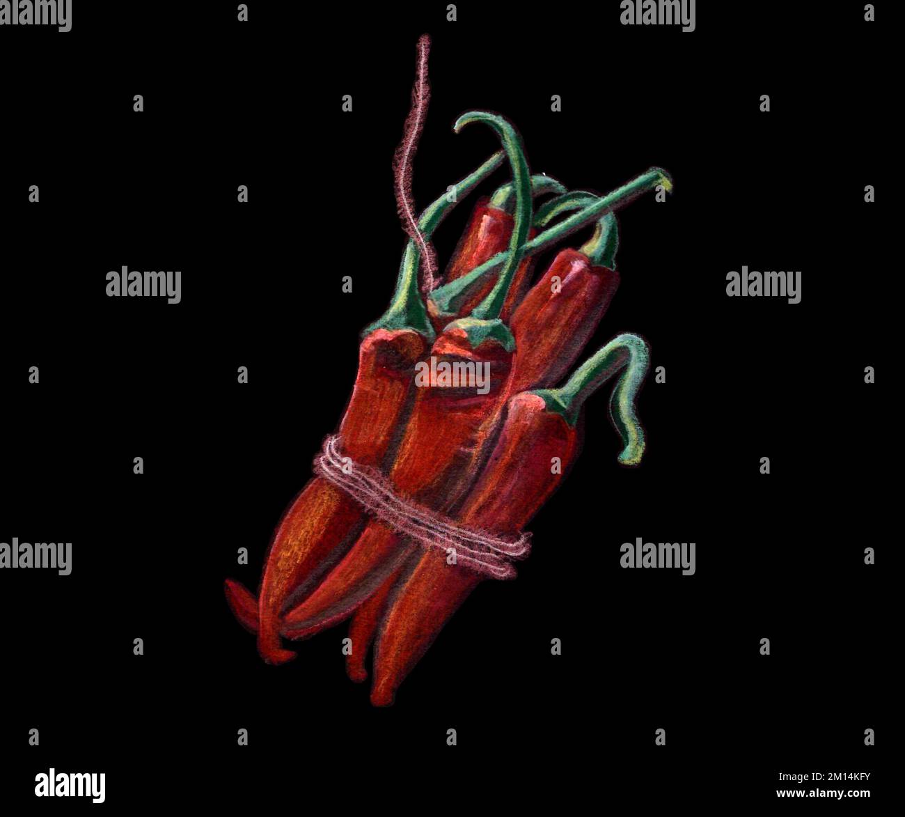 Hand drawn illustration of hot red chili pepper on black background ...