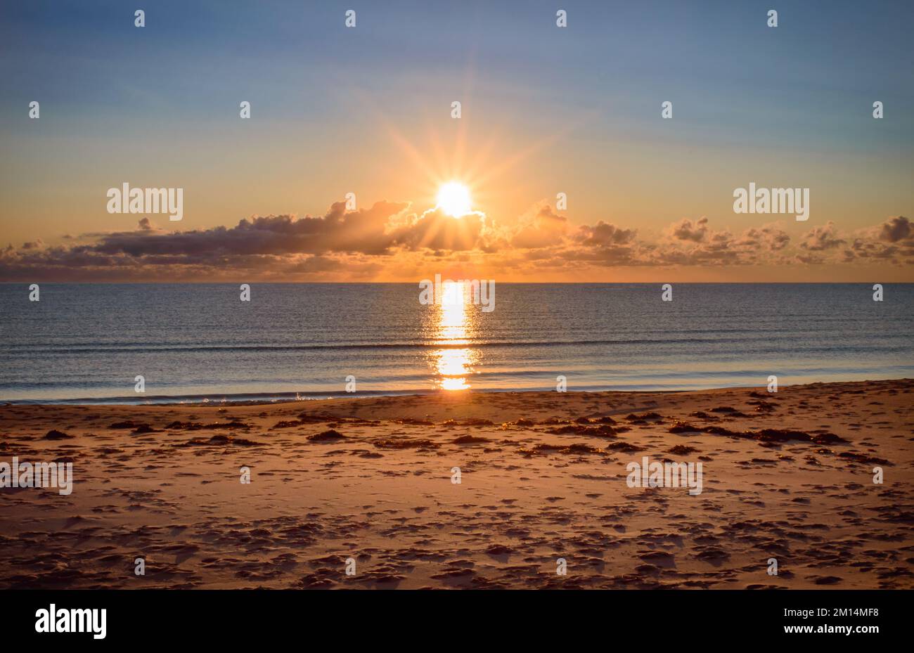 Panmure island hi-res stock photography and images - Alamy