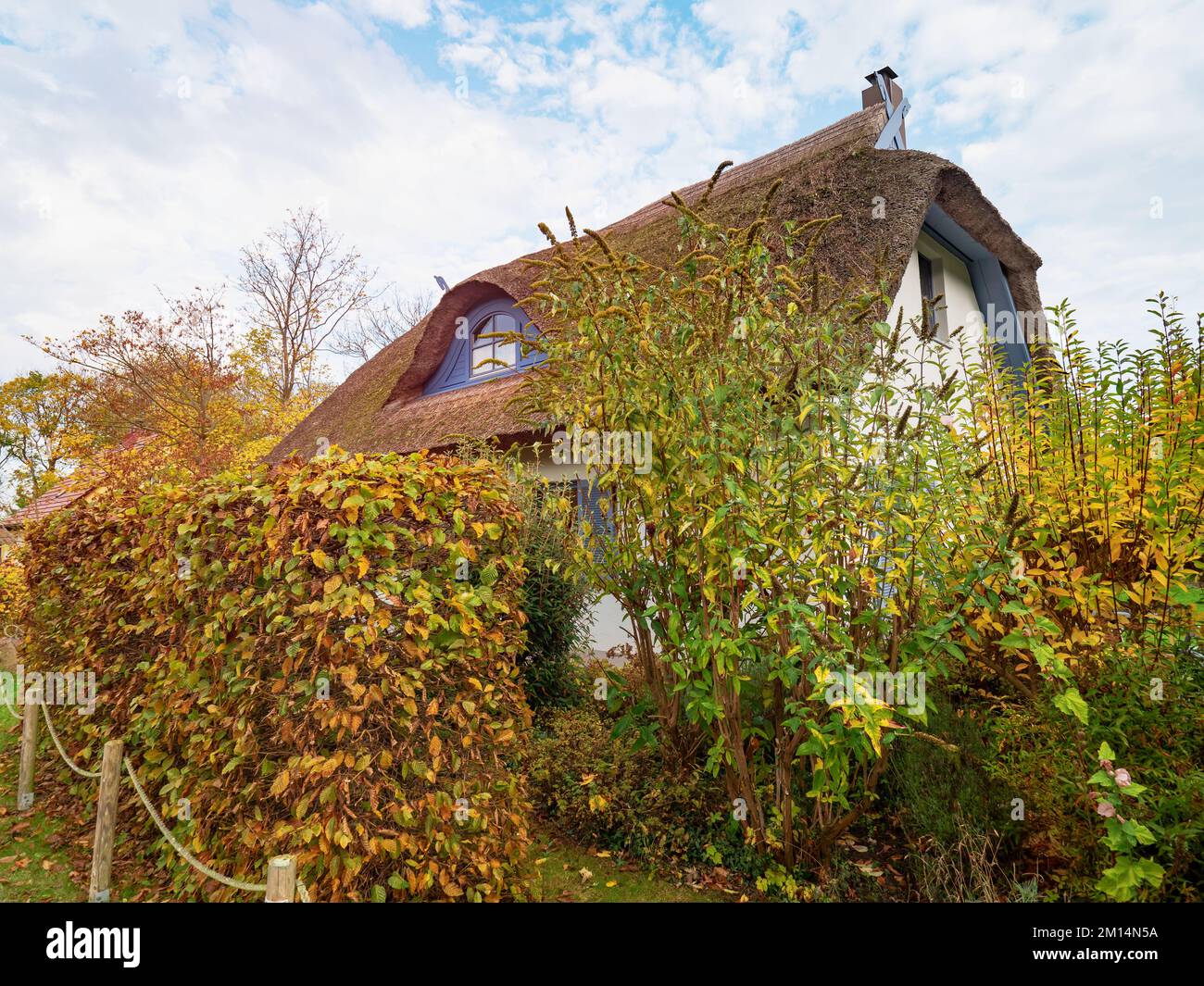Modern houses built in traditional style with reeds roof. Historical ...