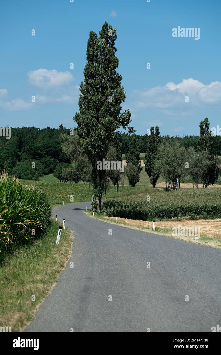 Country Road without vehicles Stock Photo - Alamy