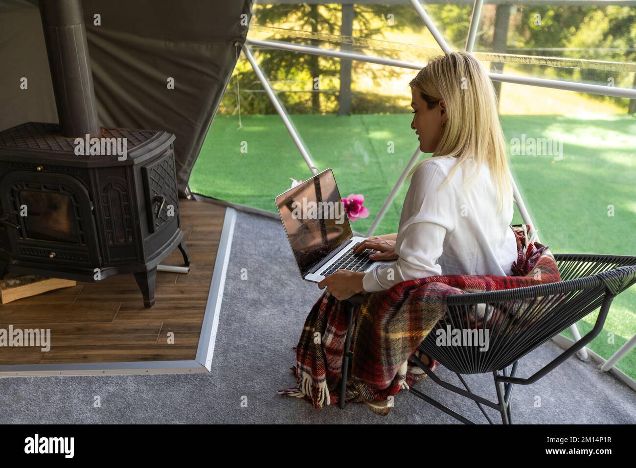 Transparent bubble tent at glamping, Lush forest around and interior ...